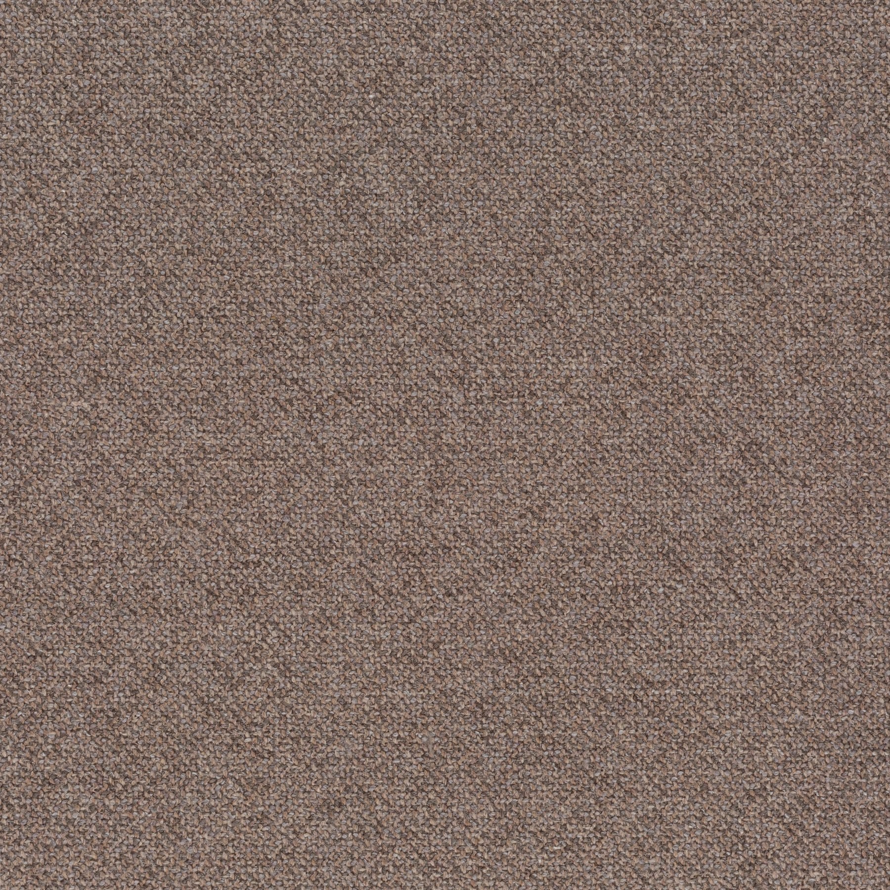 Chivasso Bonsai Reboot Colour 59 – The Curtain Factory Outlet