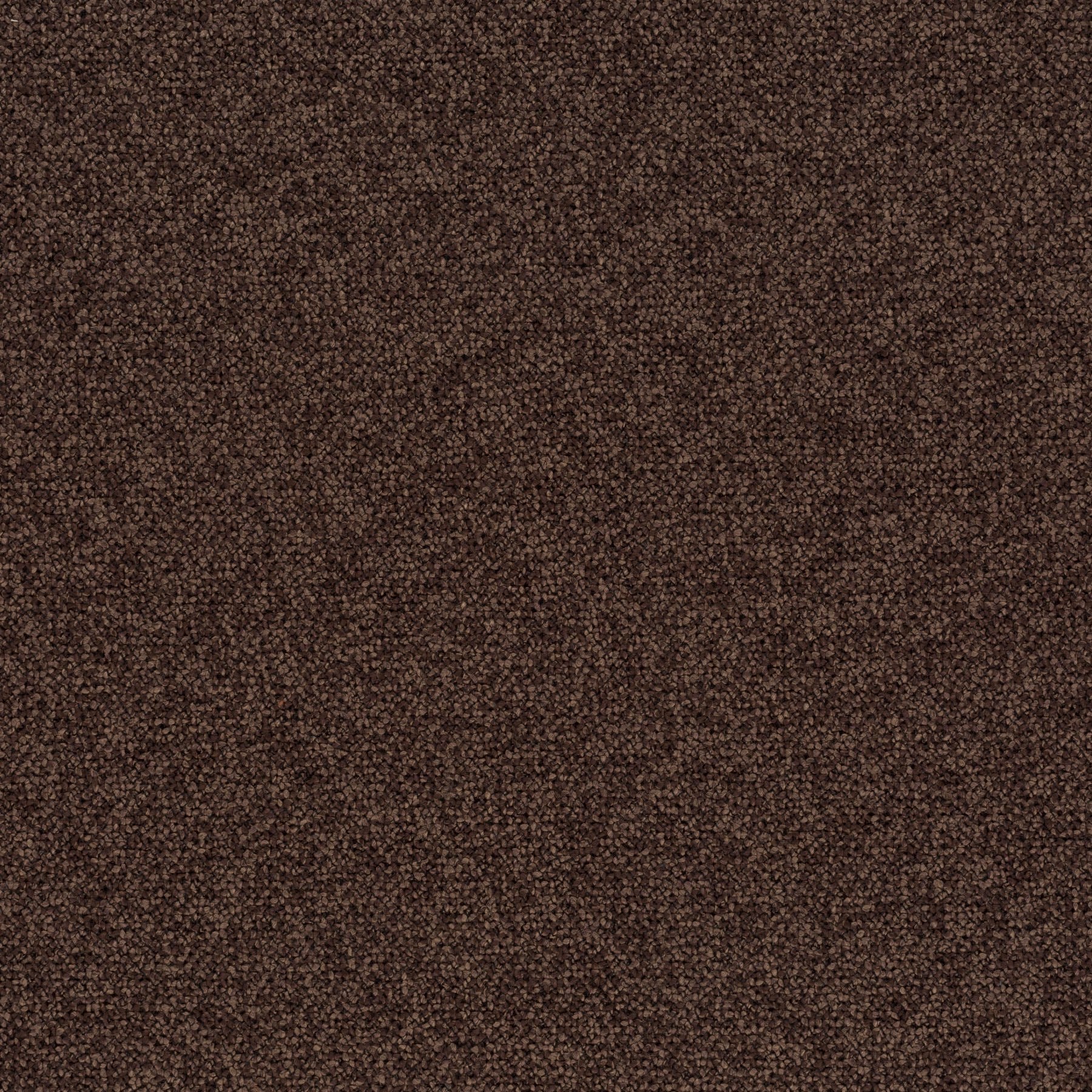 Chivasso Bonsai Reboot Colour 64 – The Curtain Factory Outlet