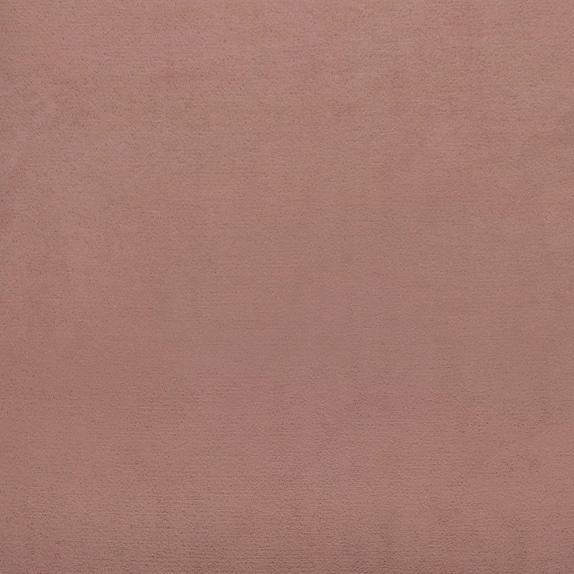 Warwick Cecconi Rose – The Curtain Factory Outlet