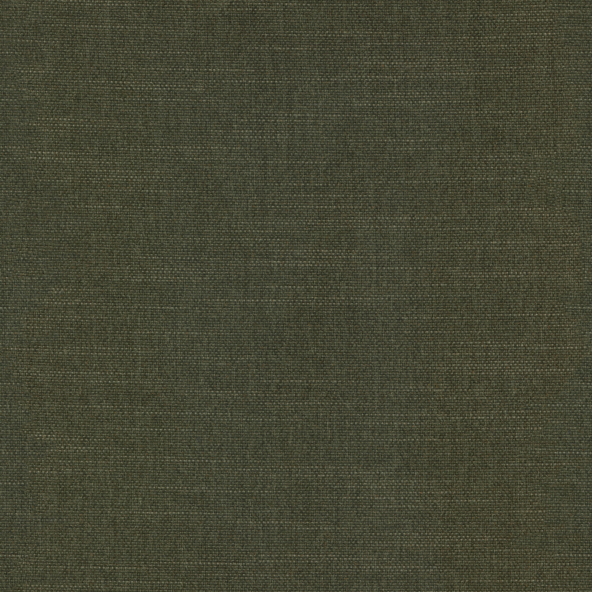 Warwick Durham Forest – The Curtain Factory Outlet