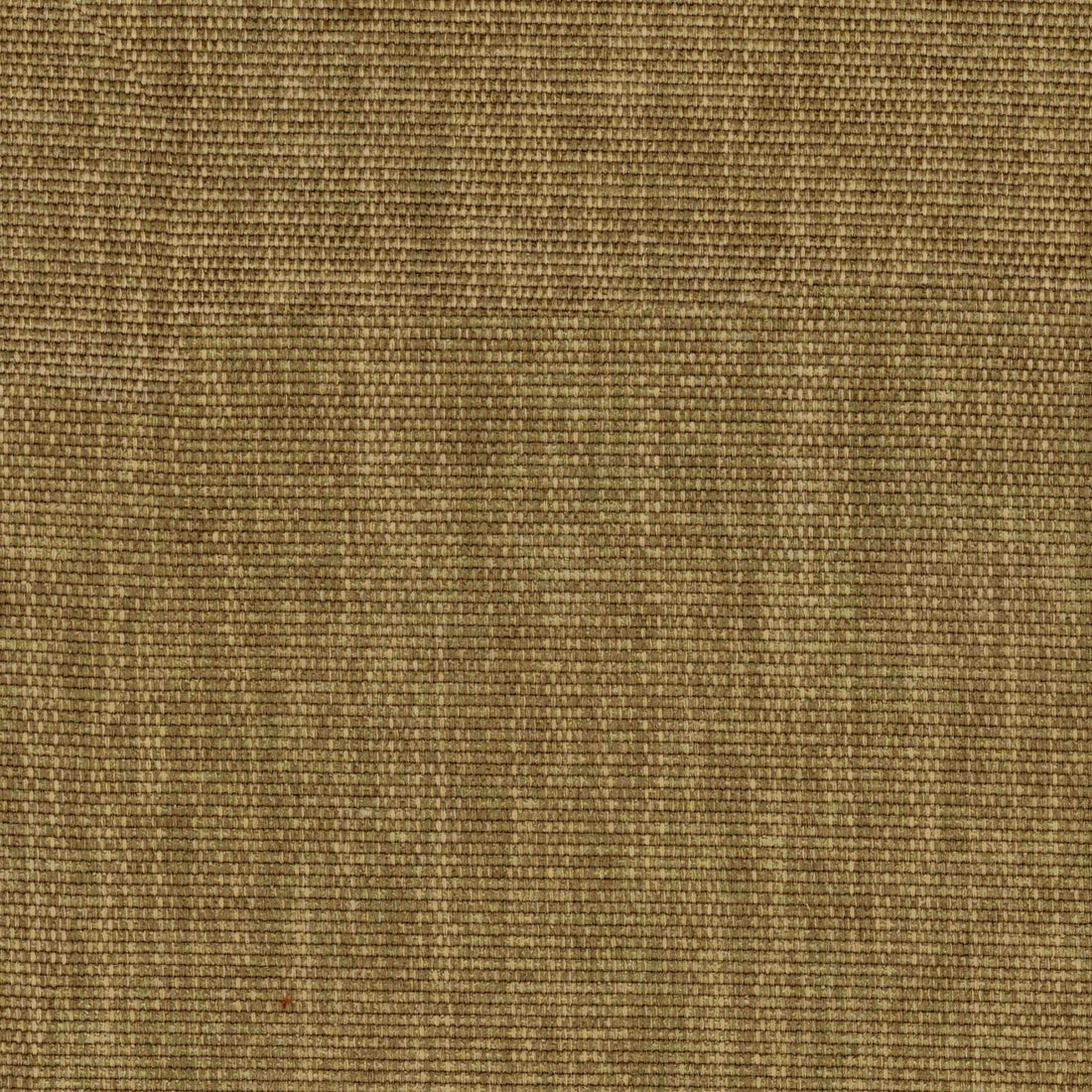 Warwick Flexi Ochre – The Curtain Factory Outlet