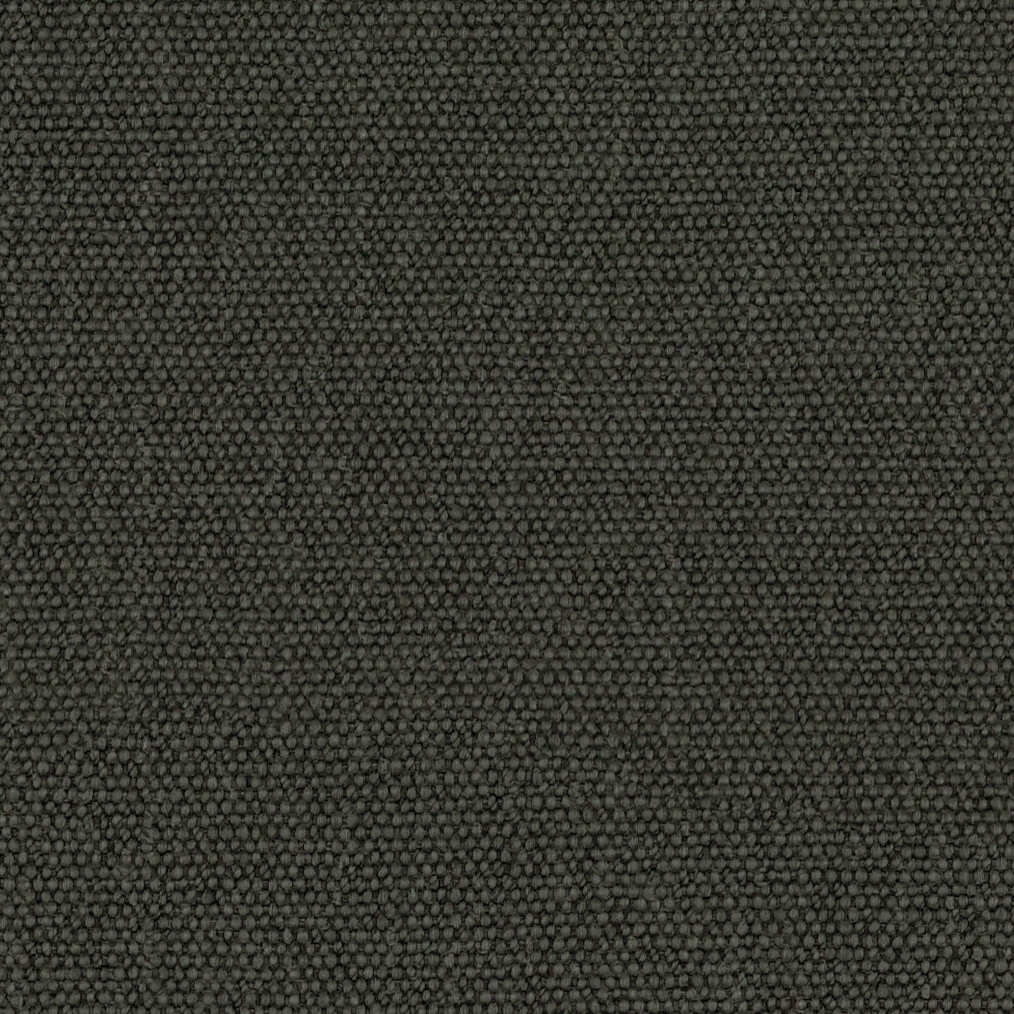 Warwick Jumbo Forest – The Curtain Factory Outlet