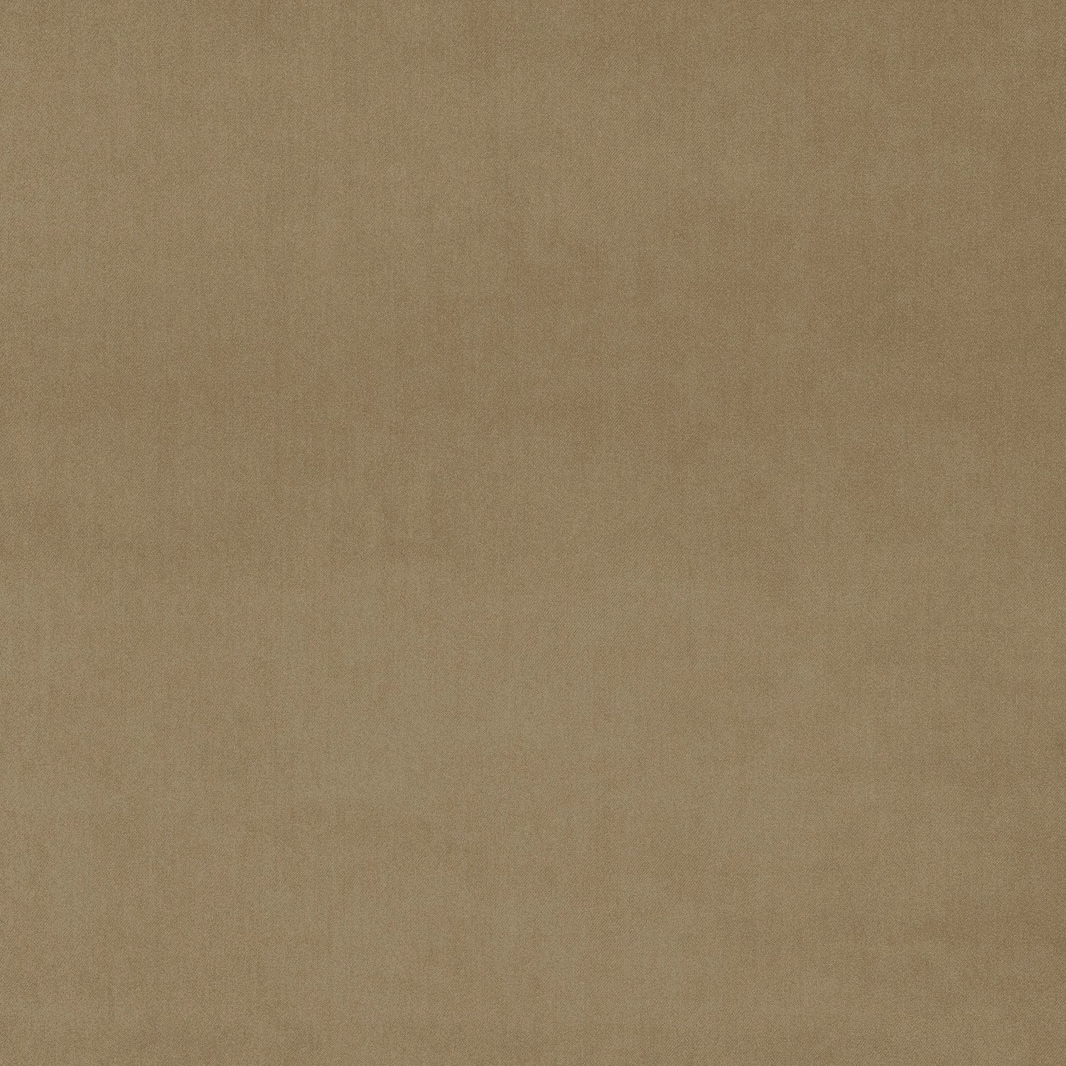 Linwood Omega Latte – The Curtain Factory Outlet