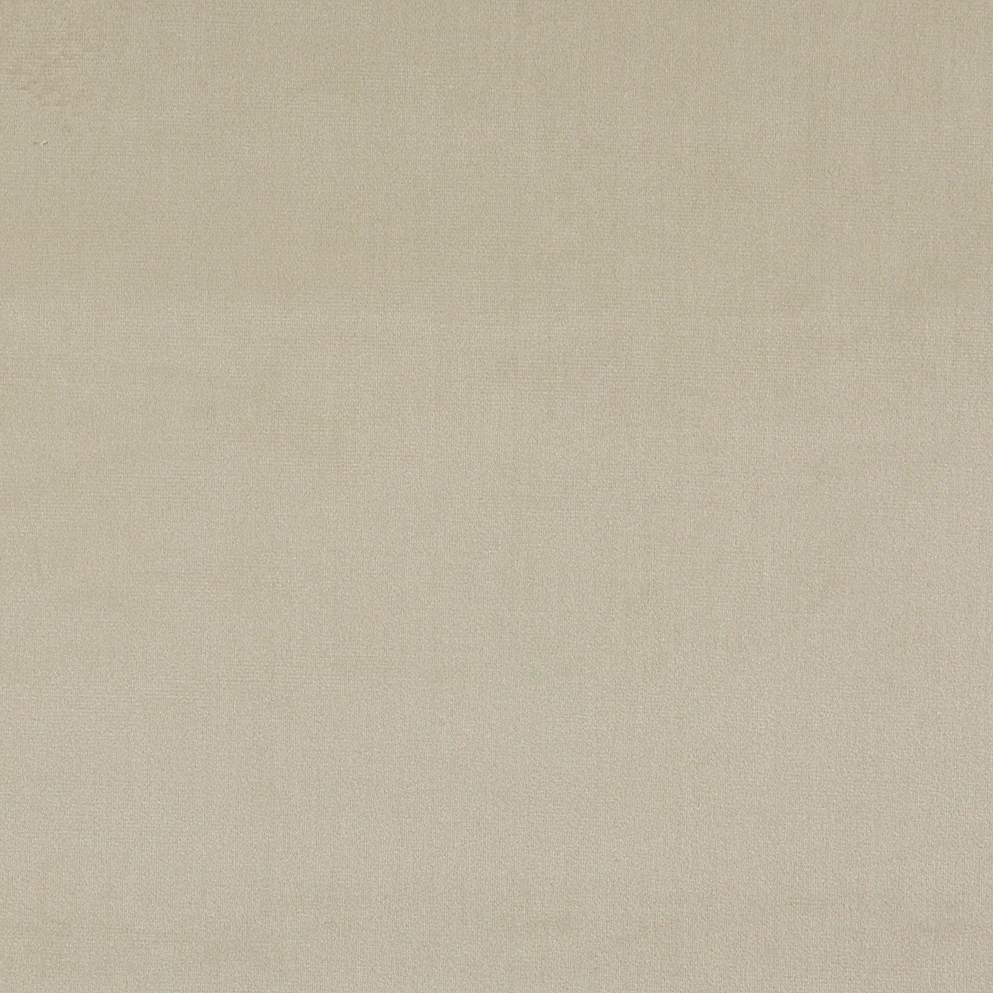 Prestigious Textiles Velour Ivory – The Curtain Factory Outlet