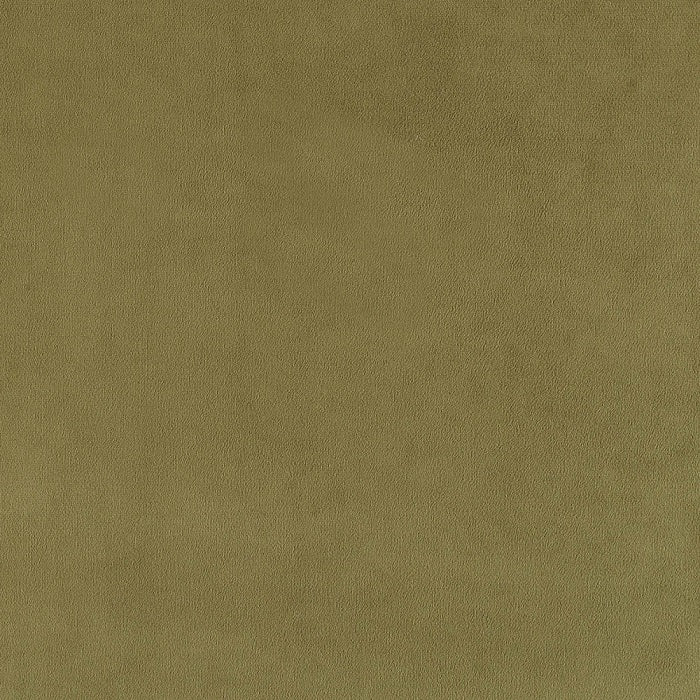 Warwick Plush Moss Velvet – The Curtain Factory Outlet