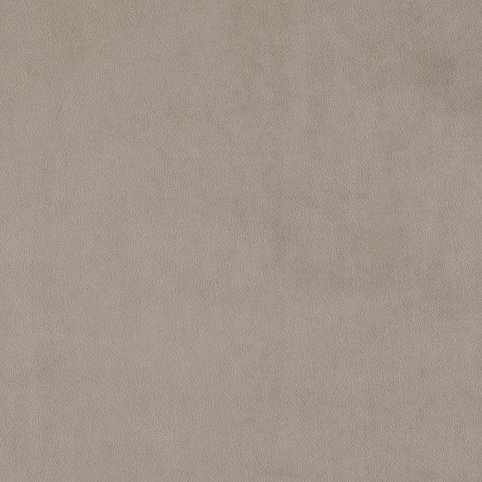 Warwick Plush Fog Velvet – The Curtain Factory Outlet