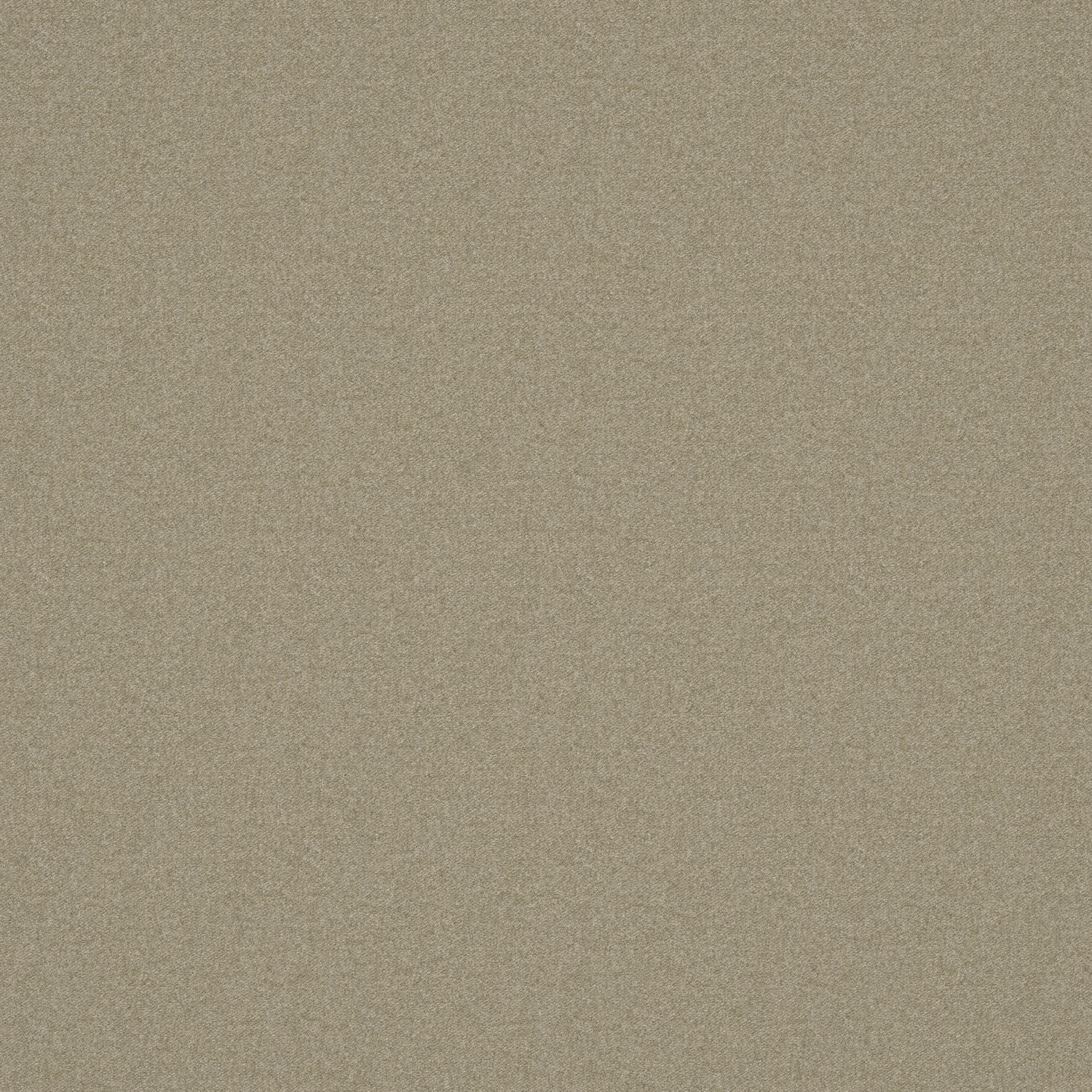 Warwick Alpaka Acorn Fire Retardant Woollen Velvet – The Curtain ...