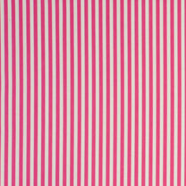 Clarke & Clarke Party Stripe Raspberry – The Curtain Factory Outlet