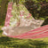 Clarke & Clarke Party Stripe Raspberry – The Curtain Factory Outlet